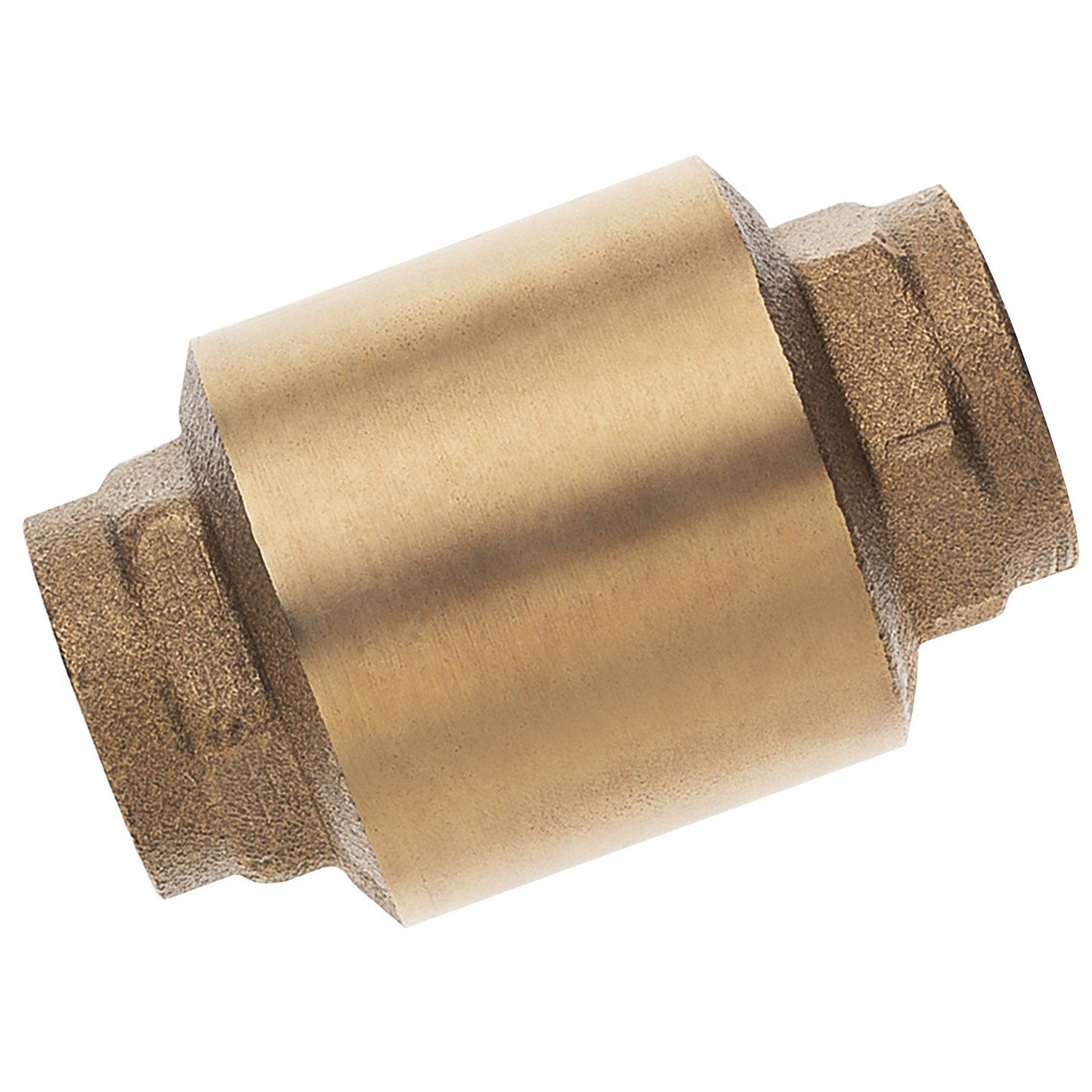 Brass Spring Check Valve – Metal Disc | Thread and Pipe Services ...